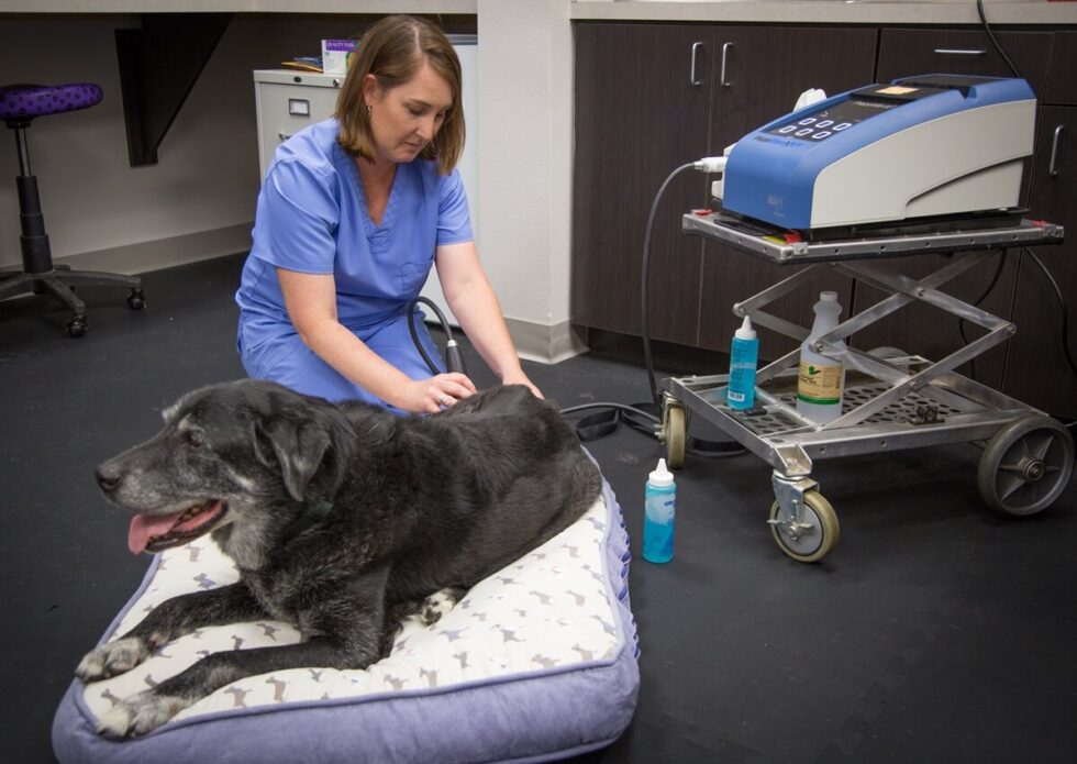Extracorporeal Shockwave Therapy Lewisville TX | Garden Ridge AH
